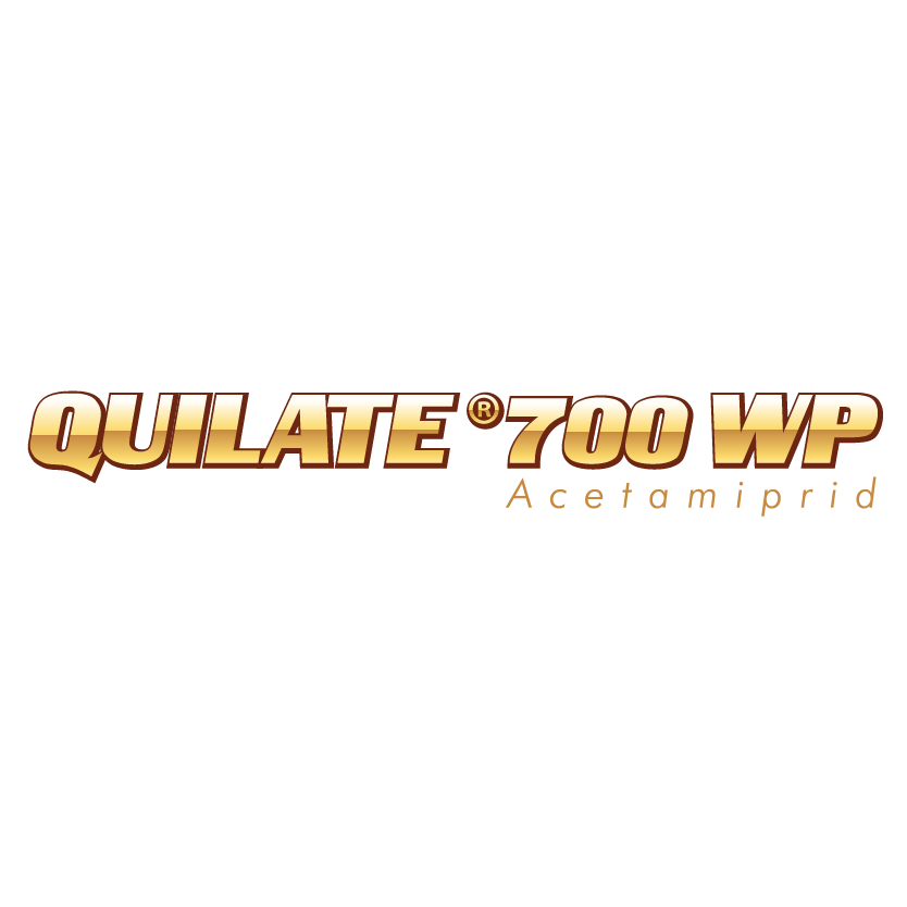 Quilate - Smartcherry