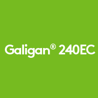 Galigan 240EC - Smartcherry