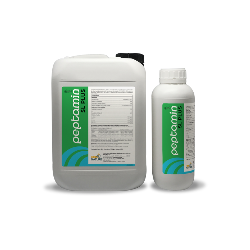 Peptamin SL Plus - Smartcherry