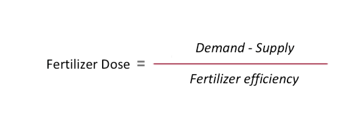 Technical bases of fertigation in cherry trees - Smartcherry