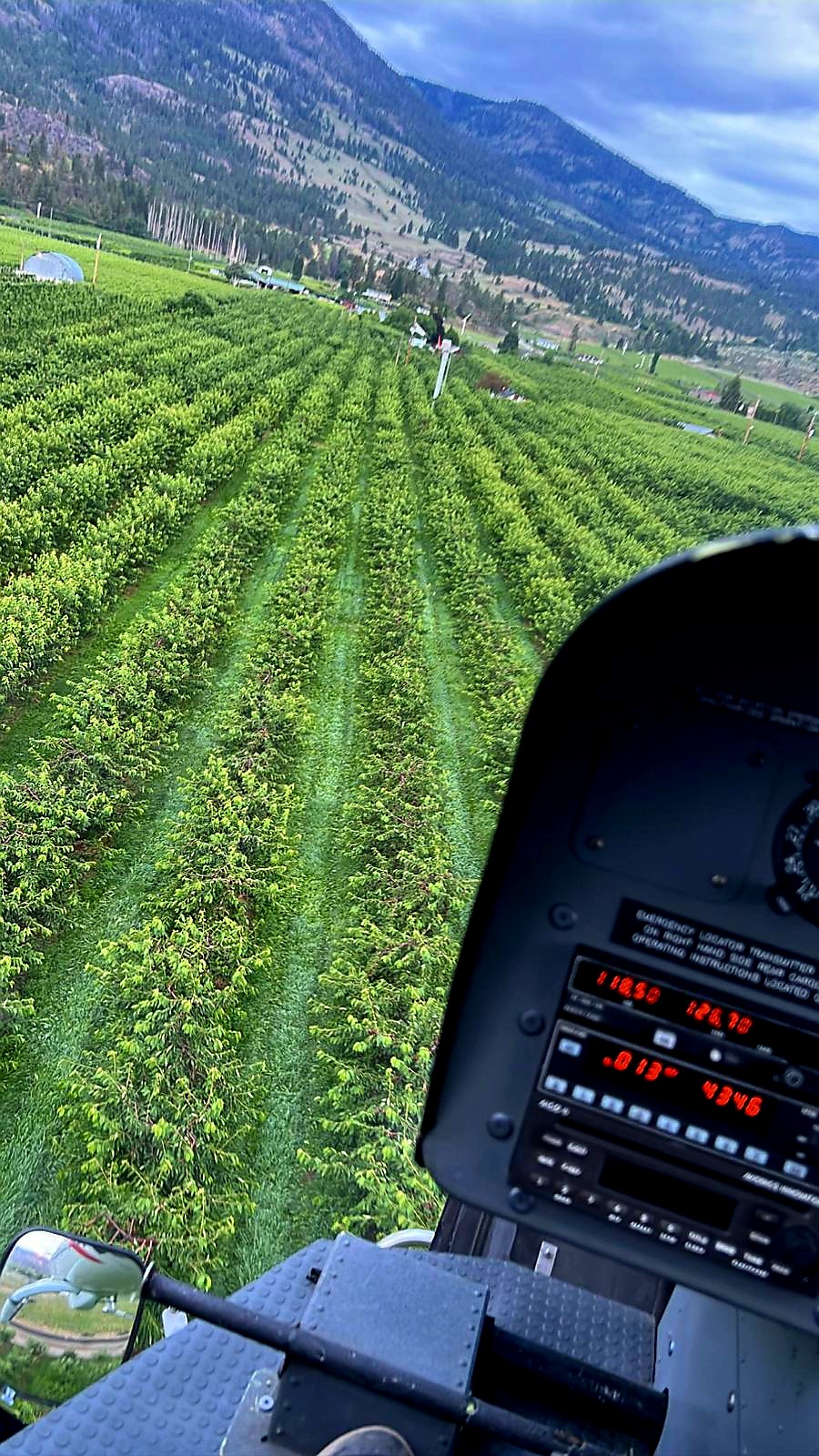 Canada: Cherry season started, and helicopters ready for action ...