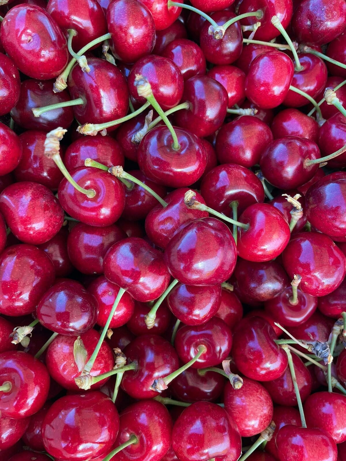 Report: Turkish sweet cherry production forecast reaches 718,000 MT ...