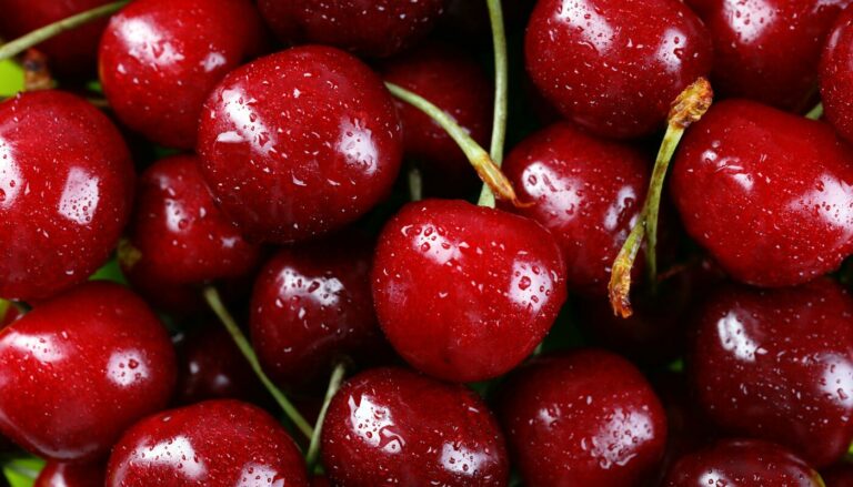 News Archives - Smartcherry