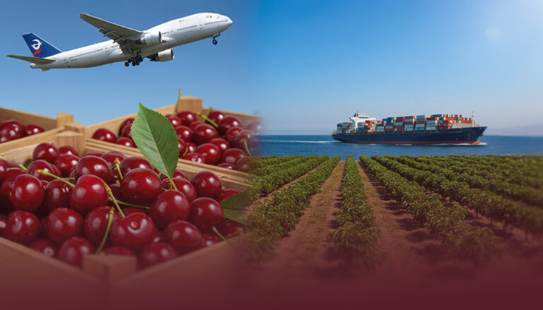 Cherry varieties: their characteristics, tips and how to recognize them ...
